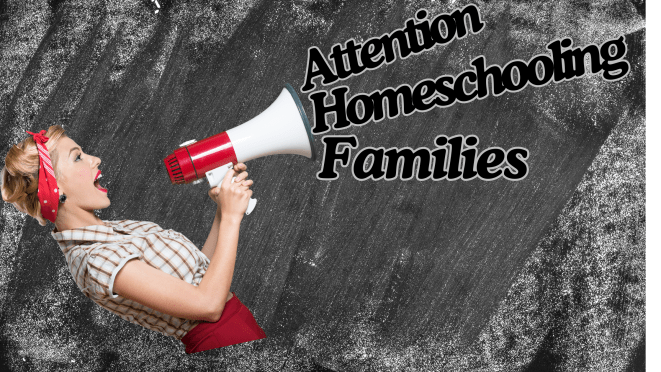 Gearing Up For The New Homeschooling Year With SchoolhouseTeachers.com ...
